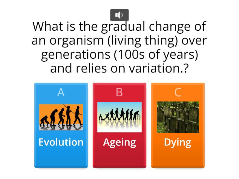 Evolution - Quiz