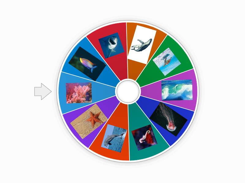 Ocean animals - Spin the wheel