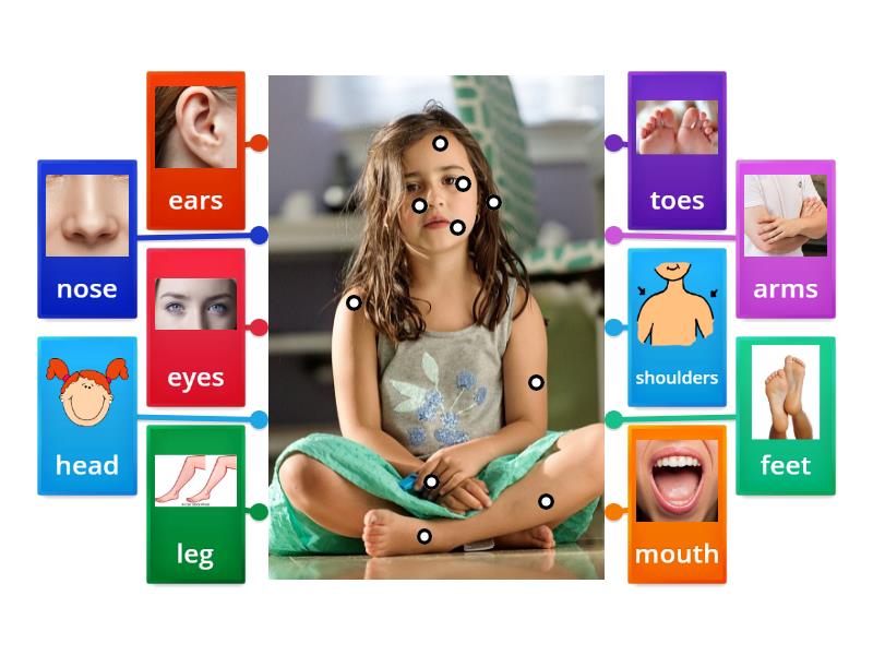 Body parts review - Diagrama con etiquetas