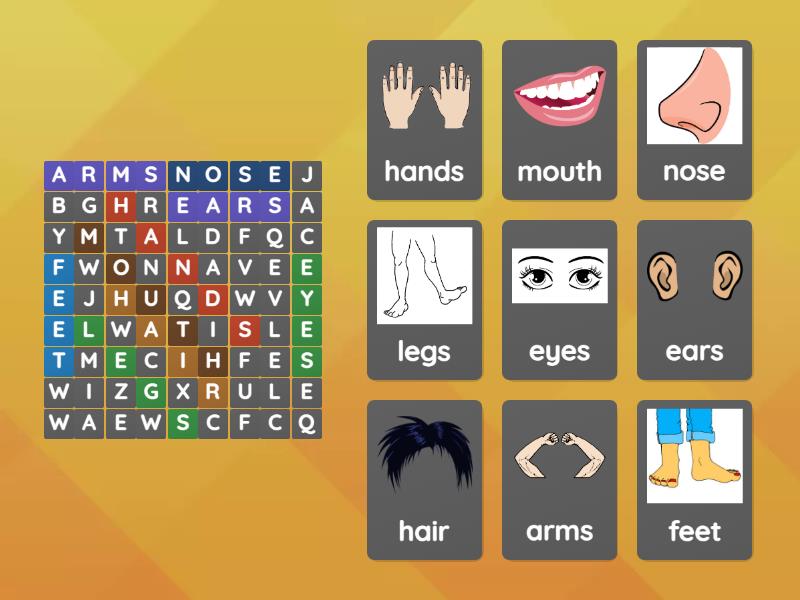 Body Parts Wordsearch