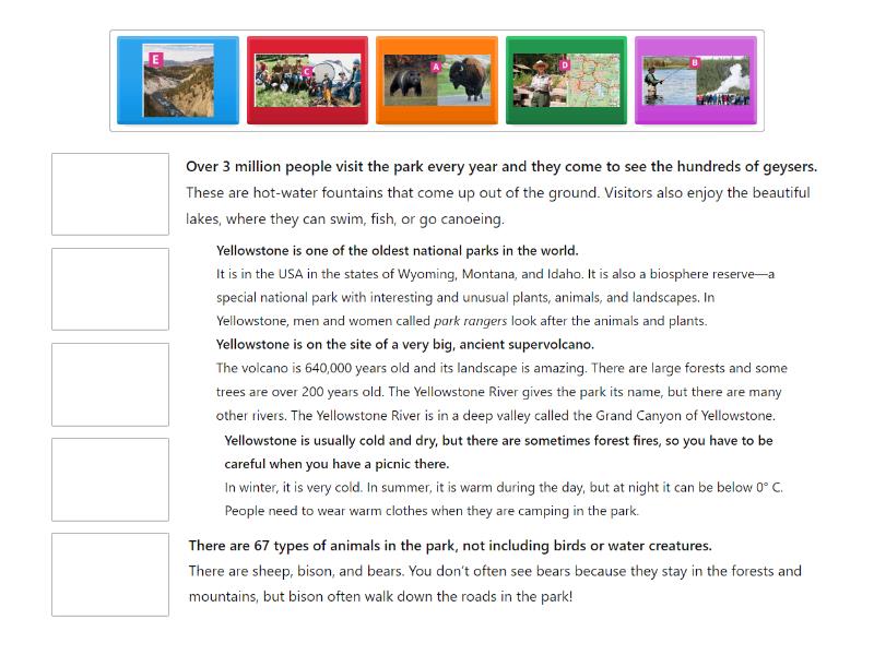 Paragraph writing - Match up