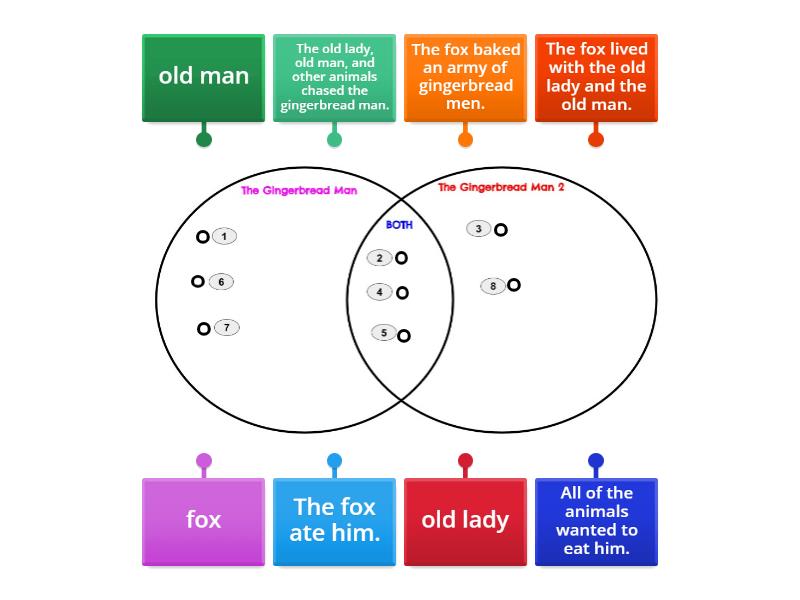 The Gingerbread Man - Venn Diagram - Labelled diagram