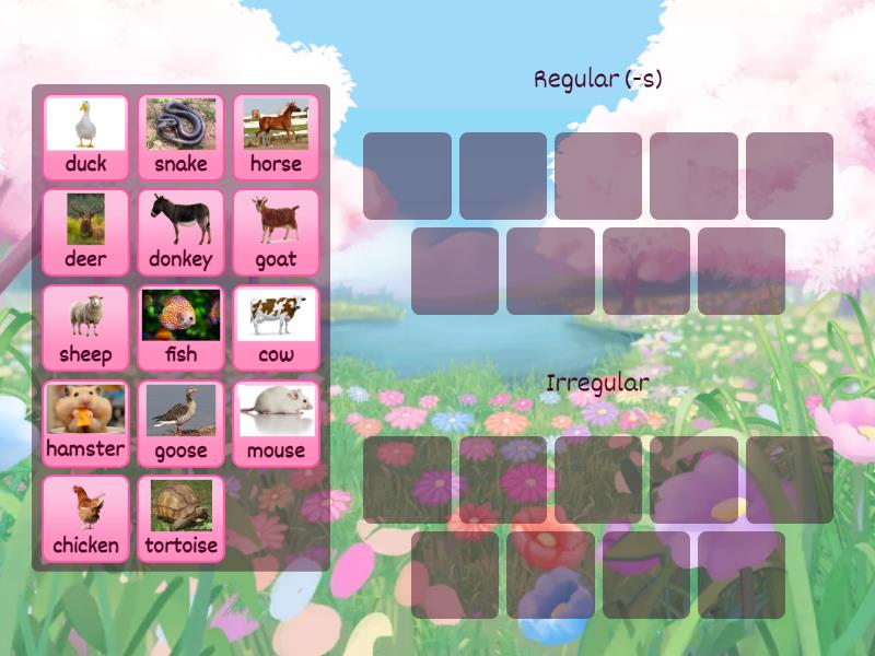 Plurals Animals - Group sort