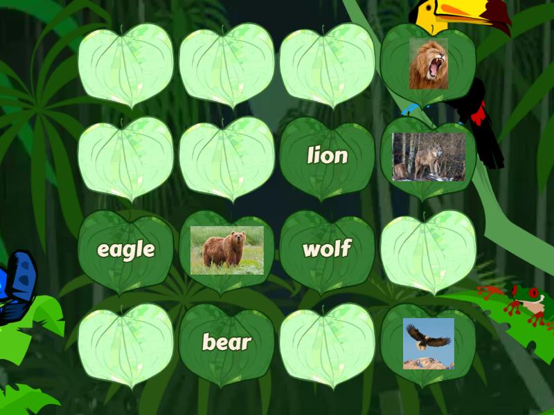 Wild Animals - Matching pairs