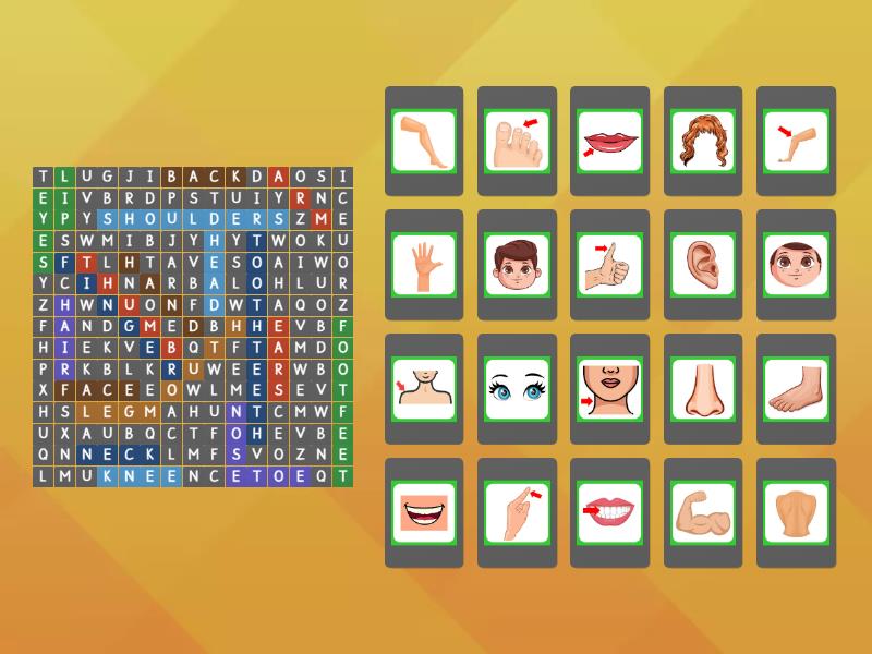 My_body_ #my_teaching_stuff - Wordsearch