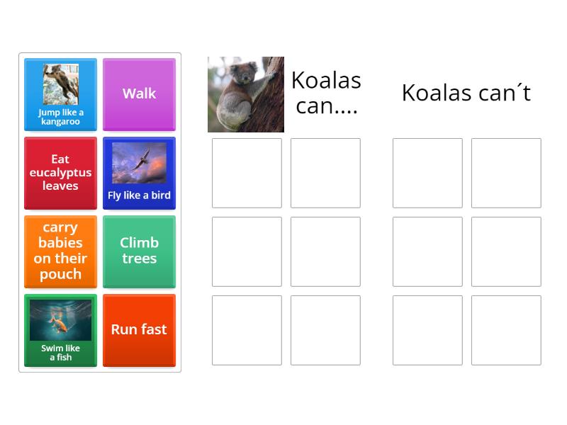 Koala activities - Ordenar por grupo