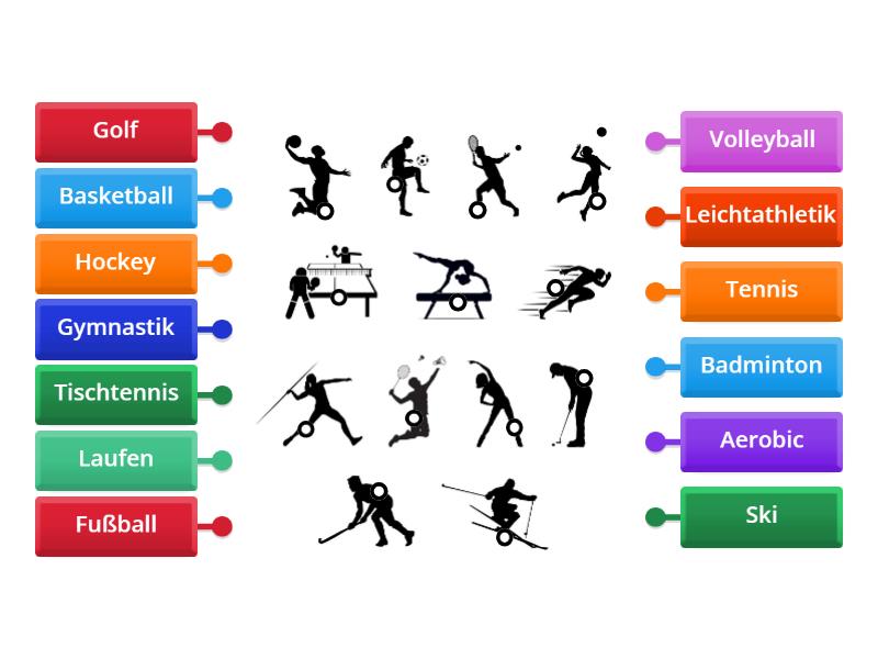 SPORT - Labelled diagram