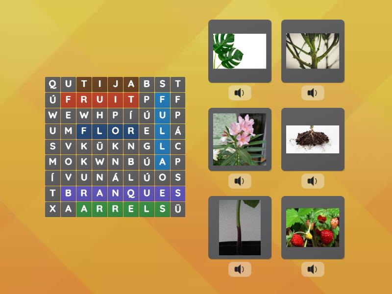 PARTS D'UNA PLANTA sopa de letras - Wordsearch