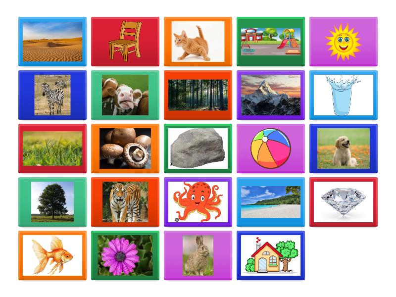 Living and non-living things - Flip tiles