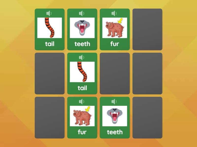 Animals Features - Matching pairs