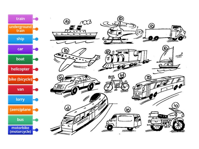 Transport - Labelled diagram