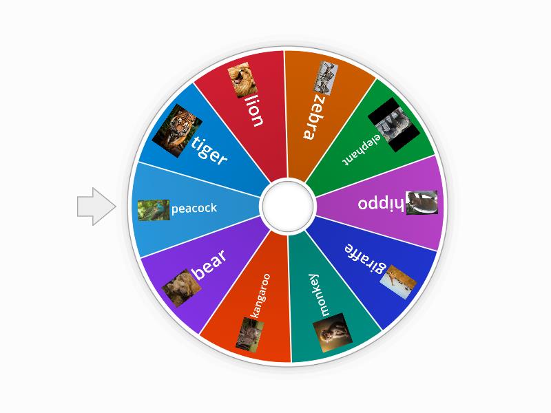 zoo animals course - Spin the wheel