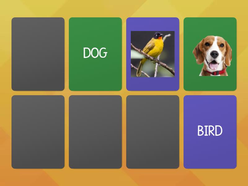 (Pets) - Matching pairs