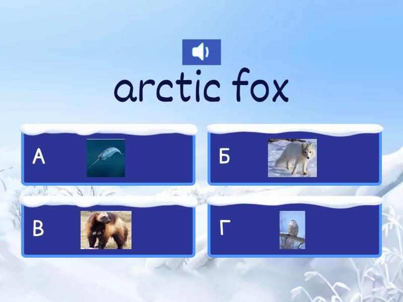 Arctic animals | Speaking Club | - Quiz